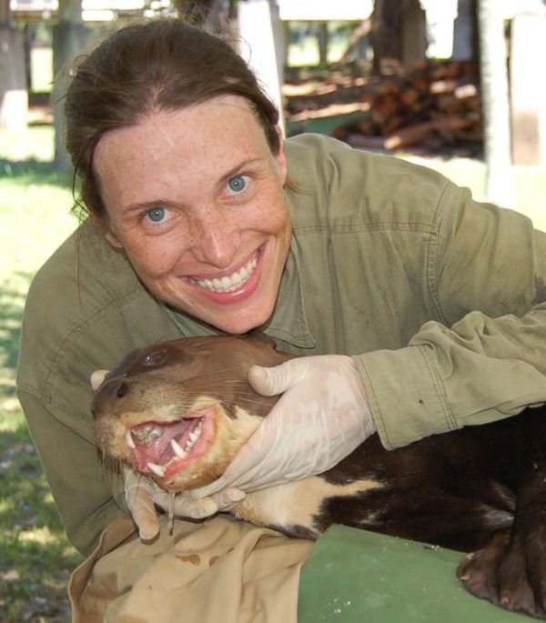 The Giant Otter - Projeto Ariranhas